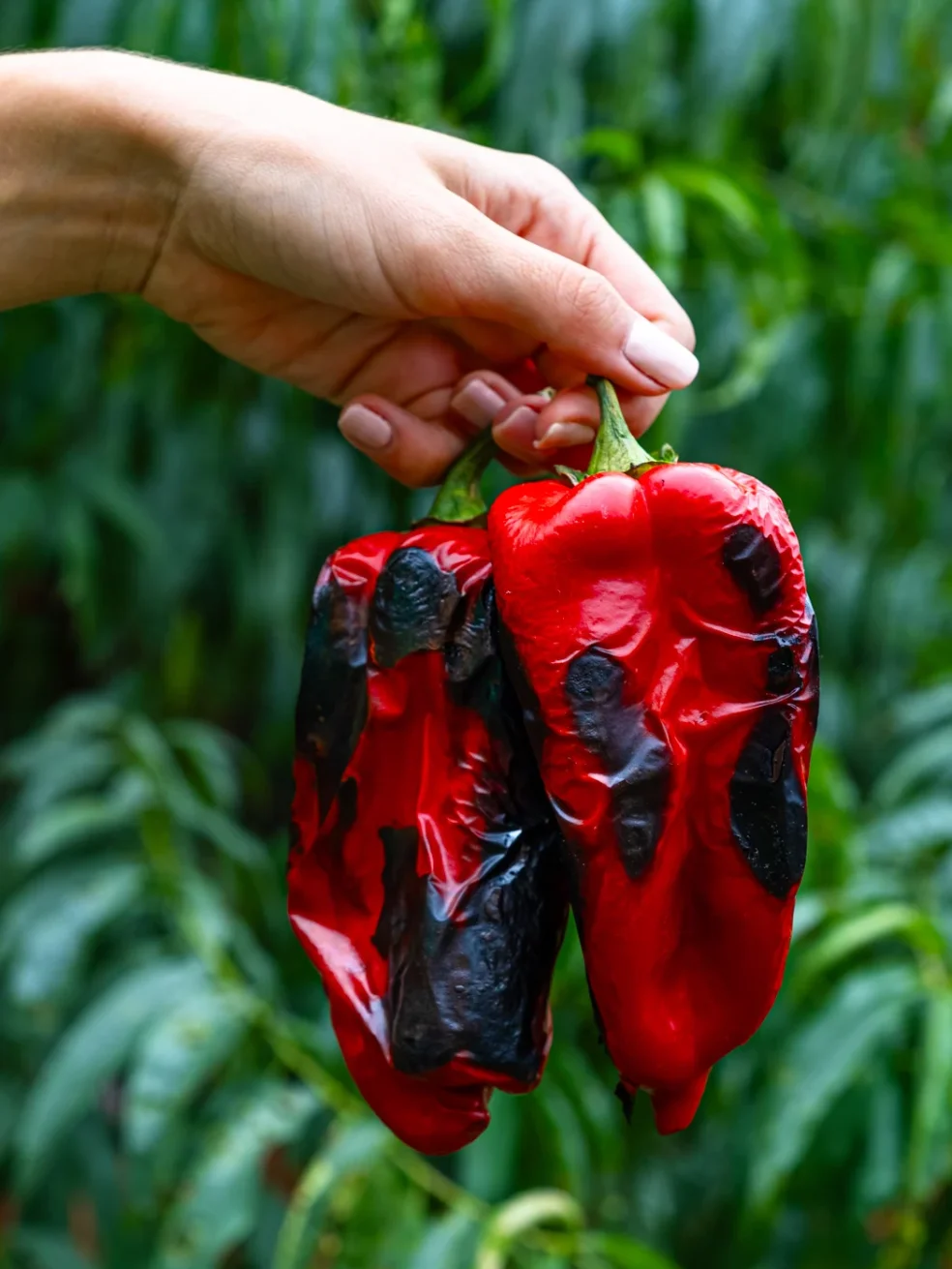 Traditional Ajvar (Roasted Red Pepper And Eggplant Relish) - Food and Mood